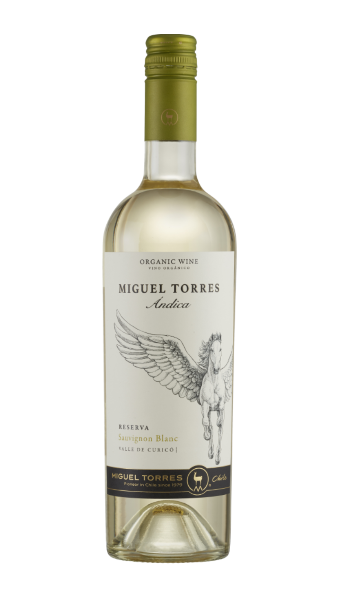 2023 Miguel Torres Andica, Sauvignon Blanc Gran Reserva | Estate Wine