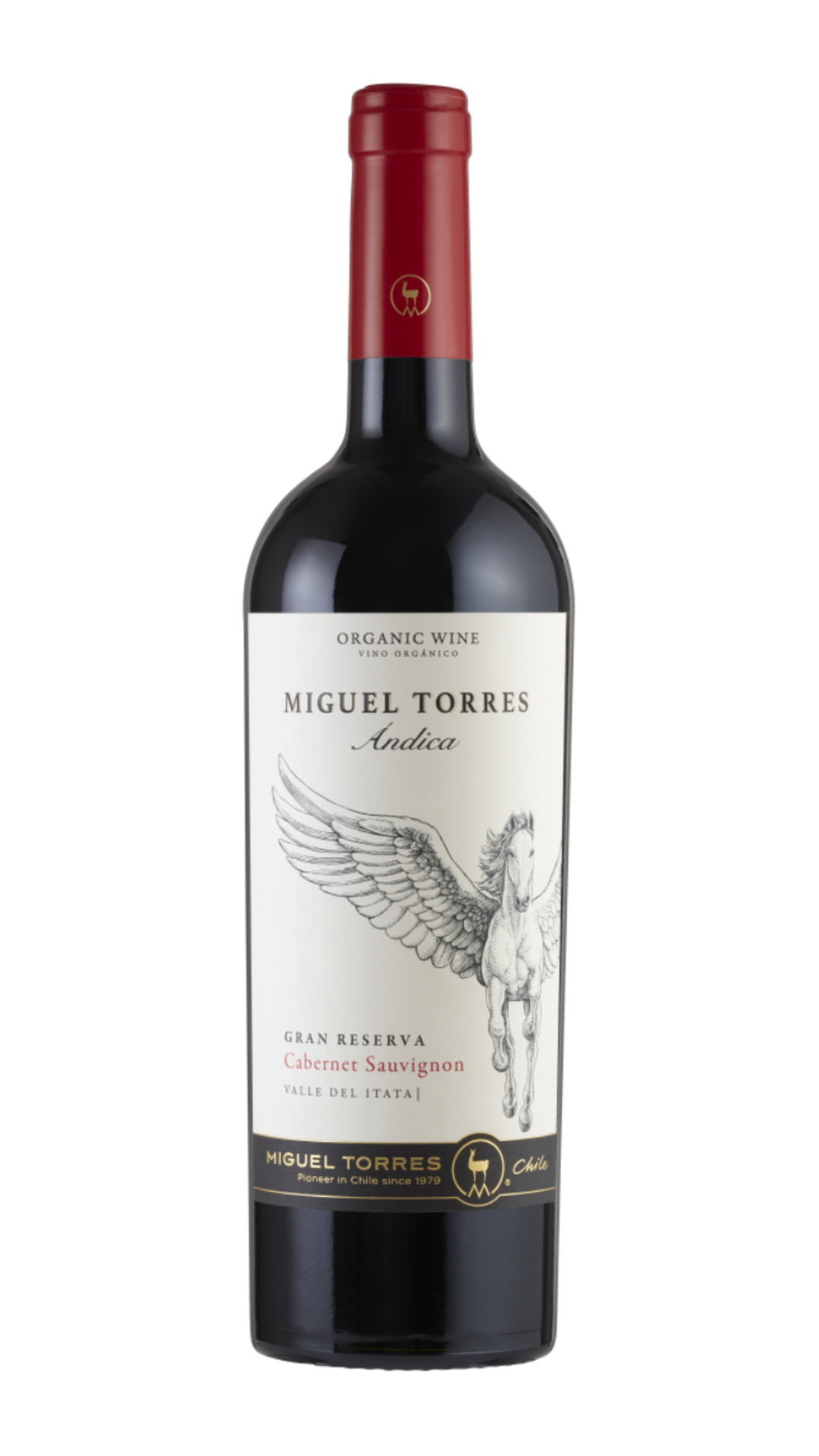 2020 Miguel Torres Andica, Cabernet Sauvignon Gran Reserva | Estate Wine